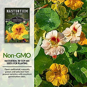 Survival Garden Seeds - Tip Top Mix Nasturtium Seed for Planting - Pack with Instructions to Plant and Grow Edible Flowers & Companion Plants in Your Home Vegetable Garden - Non-GMO Heirloom Variety