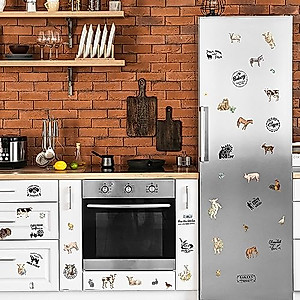 Whaline 12 Sheet Farmhouse Rub on Transfer for Furniture and Crafts Rustic Animals Letters Rub on Transfer Furniture Stickers Decal for Farmhouse School Home Office DIY Art Craft Decor, 5.5 x 5.5 Inch