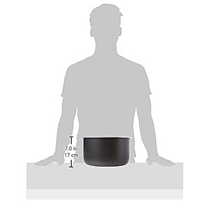 Ninja Foodi Dehydrator Stand, 6.5-Qt, Gray