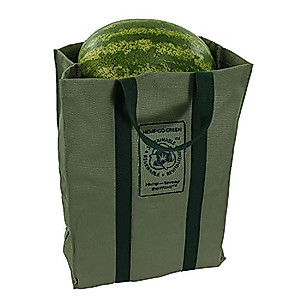 Hemp Go Green 100% Hemp Canvas Washable Heavy Duty Reusable Shopping Bag