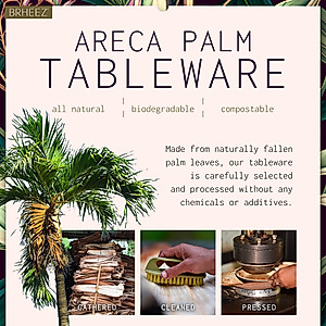 brheez Bamboo Plates made from Palm Leaf 25 Party Plates 10 Inch Eco Friendly Compostable & Biodegradable – Disposable Plates Heavy Duty and More Environmentally Friendly than Paper Plates