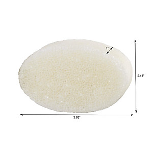 Spongeables Shaving Soap In a Sponge, Exfoliating Sponge for Use Before Shaving, Aloe and Shea Butter, Moisturizer and Exfoliator, Coconut, 2 Count