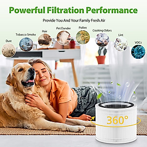 True HEPA 14 Replacement Filter Compatible with Puroair 240 Air Purifier, 3 in 1 Grade True HEPA 14 with Activated Carbon Filter, 240 H14 Replacement Filter, 2 Pack