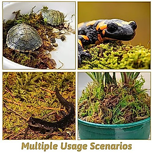 kathson Sphagnum Moss for Reptiles, 10.5 Oz Natural Dried Moss, Reptiles Peat Moss, Natural Sphagnum Moss, Frog Moss for Leopard, Long Fibered Dried Moss for Tortoise/Bearded Dragon/Snake/Lizard