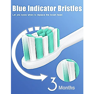 Toothbrush Replacement Heads for Philips Sonicare ProtectiveClean DailyClean Electric Toothbrush Head 1 2 Series Plaque Control Gum 4100 5100 C1 C2 G2 HX9023 Snap-on, 10 Pack