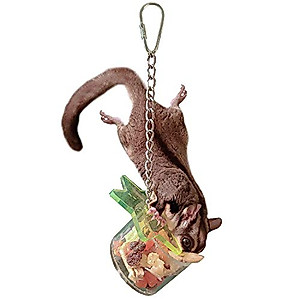 Star Forage Cup - Durable Treat Foraging Cage Accessory Toy - for Sugar Gliders, Squirrels, Chinchillas, Prairie Dogs, Degus, Opossums, Marmosets, Monkeys, Parrots, Birds, Rats, Hamsters, & Gerbils