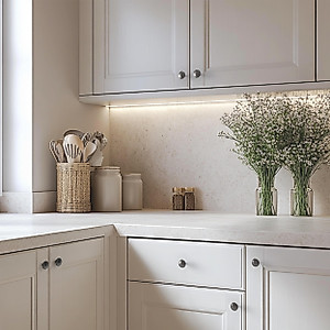 HESTIA HARDWARE 10 Pack | Pewter Vintage Knobs | 1-1/4 Inch Antique Silver Kitchen Cabinet Knobs | Drawer Pulls and Knobs, Dresser Knobs, and Closet Knobs | Knobs for Cabinets and Drawers (Z6.10.B)