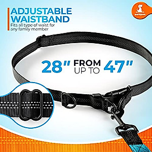 SparklyPets Hands Free Dog Leash for Medium and Large Dogs – Professional Harness with Reflective Stitches for Training, Walking, Jogging and Running Your Pet (Blue, for 1 Dog)