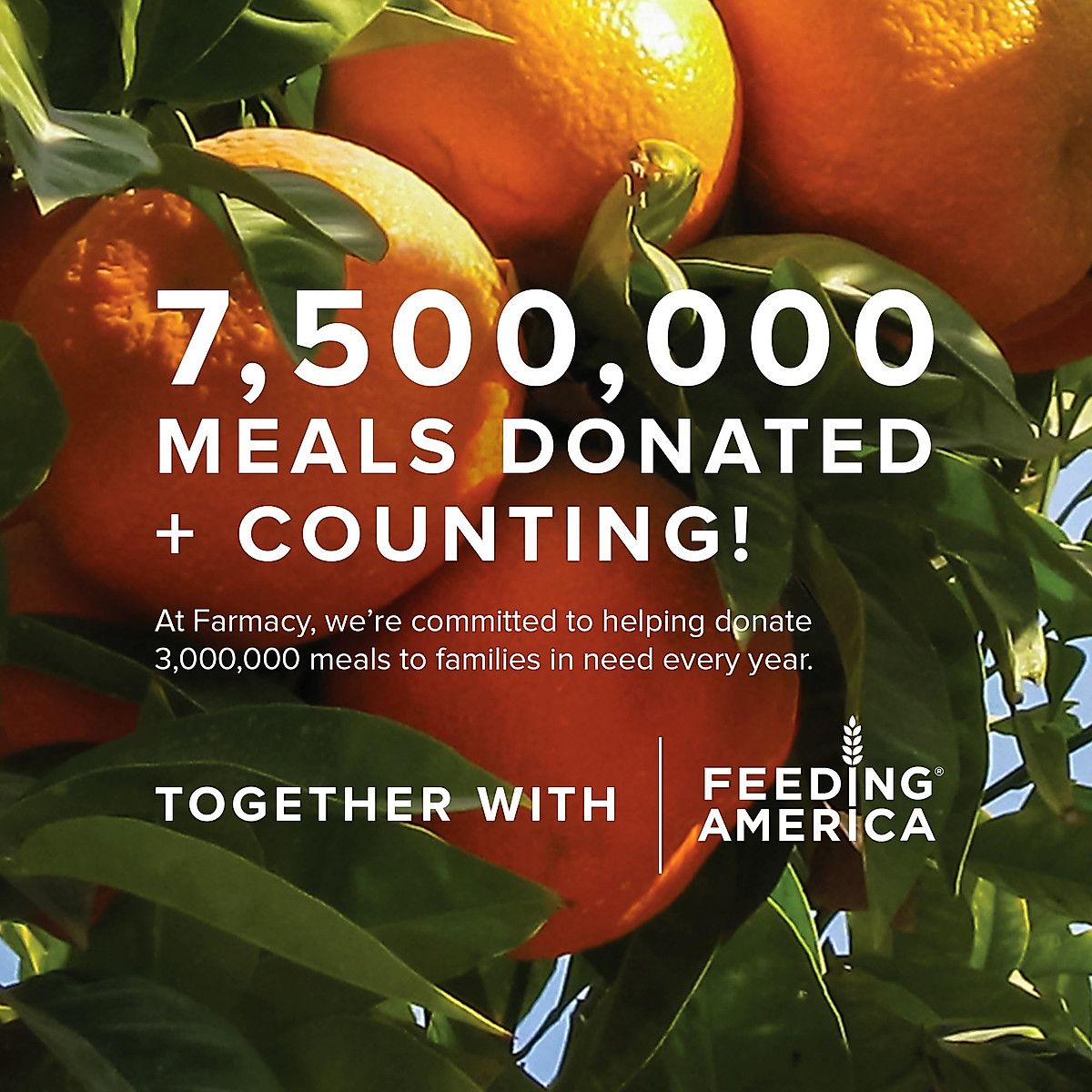 Farmacy Hydrating Face Mask - Honey Potion Plus Nourishing Skincare Facial Mask with Niacinamide, Ceramides + Pro-Vitamin B5 to Protect + Replenish Moisture Barrier (50g)