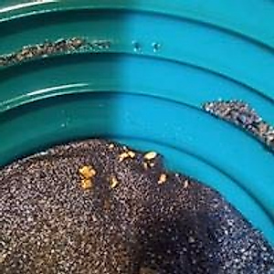 Alaskan Gold Paydirt