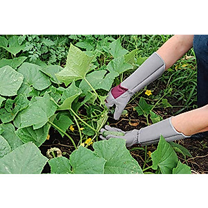 MAGID Professional Rose Pruning Thorn Proof Gardening Gloves with Extra Long Forearm Protection for Women (TE195T-S) - Puncture Resistant, Grey & Maroon, 6/XS (1 Pair)