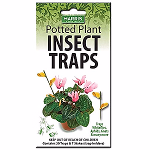 Harris Potted Plant Insect Traps for Gnats, Aphids, Whiteflies and More (30 Traps, 7 Stakes)