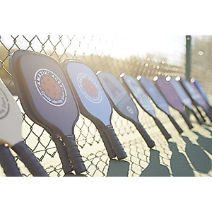 Amazin' Aces Graphite Pickleball Paddle | Racket Features Graphite Face & Honeycomb Polymer Core | Meets USAPA Specifications (Black)