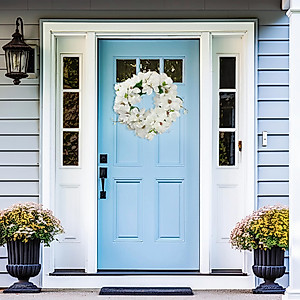 Northlight-White Magnolias Artificial Spring Wreath - 24-Inch, Unlit