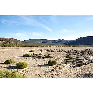 TAMRON high Magnification Zoom Lens 18-200mm F3.5-6.3 DiII VC APS-C Dedicated B018E for Canon - International Version (No Warranty)