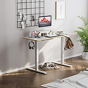 SANODESK Height Adjustable Desk 55 inch, Electric Standing Desk/w USB Charging Ports, White Sit Stand Desk for Home Office with Monitor Shelf (55 x 24 inches)