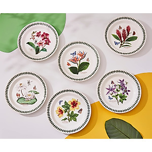 Portmeirion Exotic Botanic Garden Dinner Plate with Assorted Motifs, Round, Ceramic, Dishwasher, Microwave, & Oven Safe, 10.5 Inch, Made in England - Set of 6
