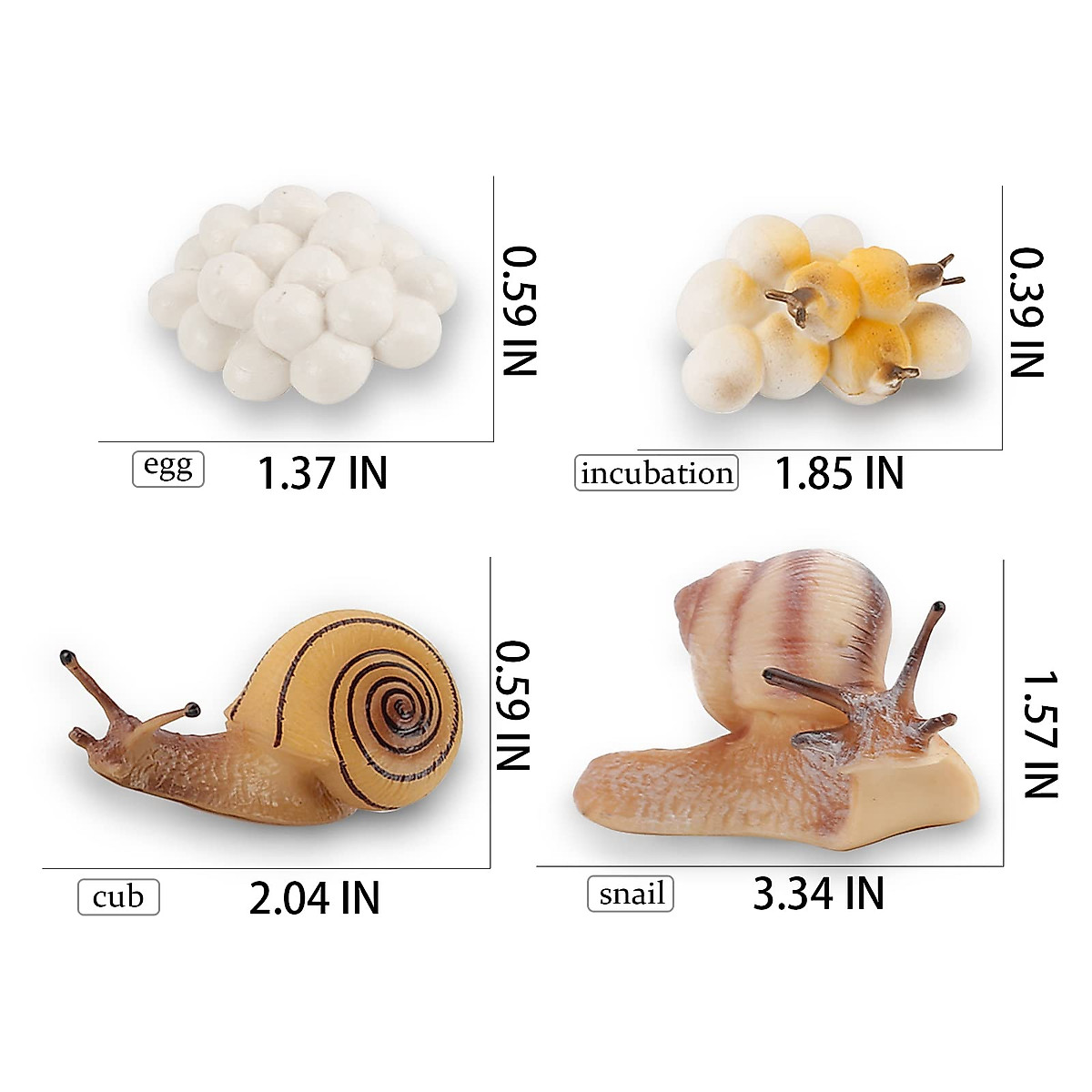 Snail Life Cycle of Snail Toys Life Cycle Figures Set Realistic Preschool Animals Figurines Eduactional Project Diorama Model Toy for Kids