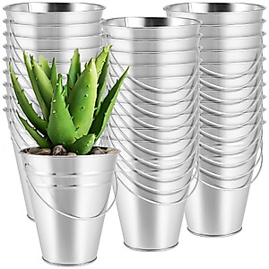 SINJEUN 30 Pack 4.5 x 5 Inch Galvanized Metal Buckets, Silver Metallic Pails with Handle, Mini Tinplate Tin Pails for Craft, Ice, Candy Snack, Flower Decoration