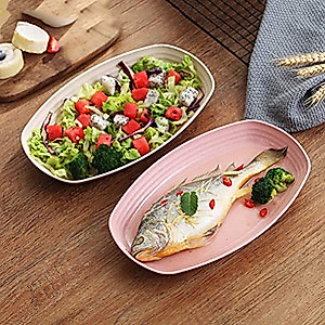 Hemoton Food Platter Plate Fish Steak Meat Vegetables Serving Shatter Resistant Wheat Straw Dish Colorful Buffet Plate for Home Kitchen Restaurant Random Color