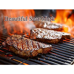 QuliMetal 18.75" Cooking Grates for Weber Genesis II 300 and Genesis II LX 300 Series Gas Grills, Genesis II E&S 310 315 320 325 340, Replacement Parts for Weber 66095 66802,66805, Cast Iron