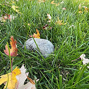 PANGAEA Key Hider Fake Rock, Weatherproof and Safe for Spare Keys, Real Look and Feel Stone, Garden, Outdoor, Geocaching (Type-B Black, 1 Pack)