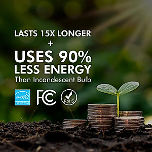 Xtricity LED 5.5W Flame Tip Filament Candelabra Light Bulbs, 60W Equivalent, 500 Lumens, 3000K Soft White, Dimmable, 120V, E12 Candelabra Base, Energy Star, (6 Pack)