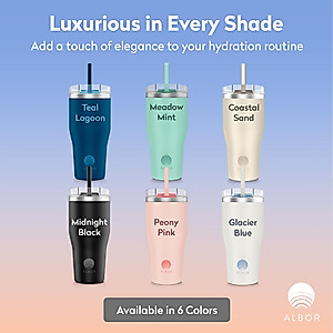 ALBOR 20 oz Travel Coffee Mug With 2 in 1 Lid and Straw, Insulated Stainless Steel Leak Proof Coffee Tumbler Thermos, Spill Proof Thermal Cup (Mint)