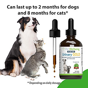 Pet Wellbeing Urinary Gold for Dogs & Cats - Vet-Formulated - Urinary Tract Health, Supports Normal Urinary pH - Natural Herbal Supplement 4 oz (118 ml)