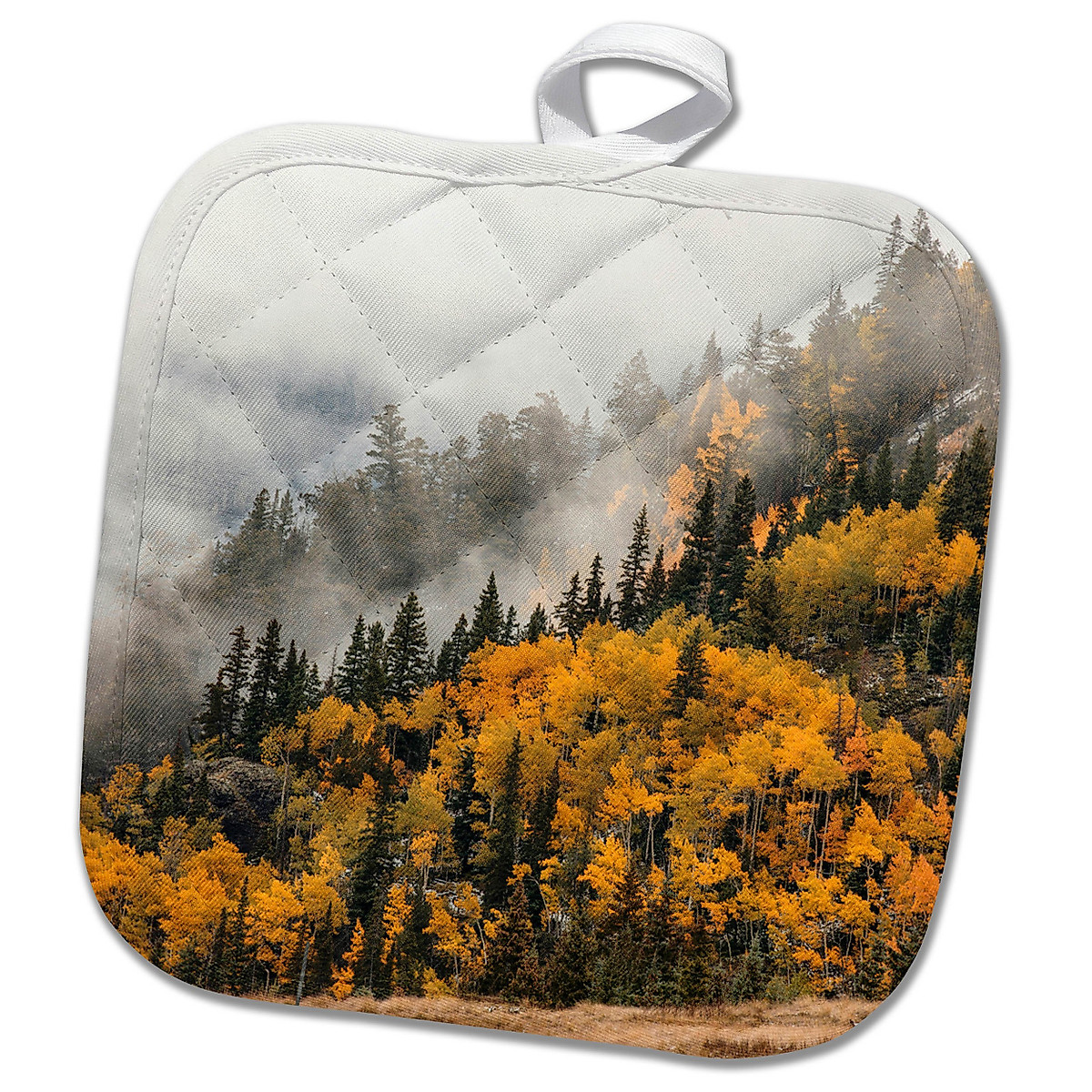 3dRose Autumn Aspen Trees in Mist on Mountain at Sunrise, Ouray, Colorado Pot Holder, 8 x 8, White