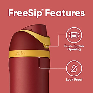 Owala Harry Potter FreeSip Insulated Stainless Steel Water Bottle with Straw, BPA-Free Sports Water Bottle, Great for Travel, 24 Oz, Gryffindor