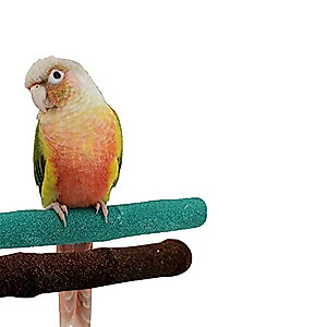 Borangs Parrot Perches Bird Stand Natural Wood Quartz Sand Branches Nail Perch for Small Medium Birds Cockatiel Cockatiel Parakeet Conure Cage Accessory Pack of 2 (Upgraded New Version 25cm/10)