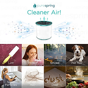 2-Pack PureSpring True HEPA H13 Replacement Filter Compatible with Dyson Pure Cool Link Models TP01, TP02, TP03, BP01 Part# 968126-03, 305158-01 - Premium Quality, Blocks Over 99.9% of Contaminants