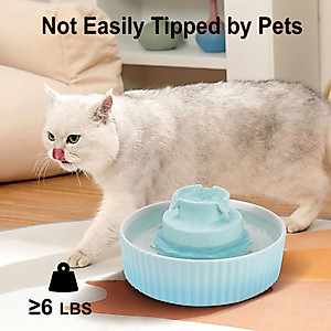 Lawfery Ceramic Cat Water Fountain, 2.1L/71oz Cat Fountain with 3 Carbon Filters and 2 Quiet Pumps, Cupcake Pet Water Dispenser for Cats and Dogs (Light Blue)