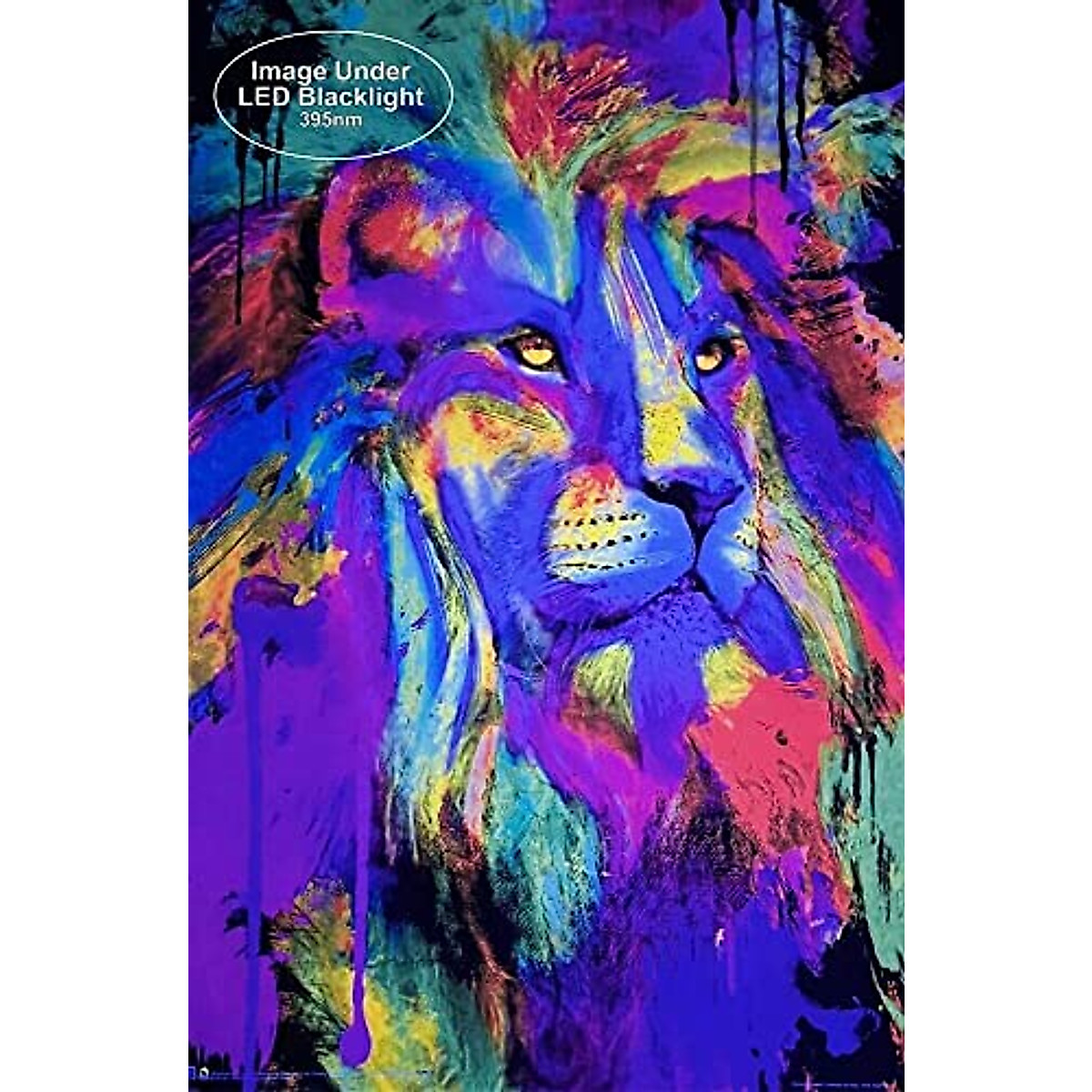 Rainbow King by Aimee Stewart - Non-Flocked Blacklight Poster 24" x 36"