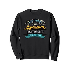 Funny GIS Forester Shirt Awesome Job Occupation Graduation Sweatshirt