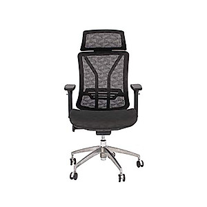 CangLong Office High Back Mesh Desk Arm Rests Computer Chair Height Adjustable, Black