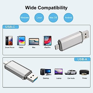 RAOYI 128GB USB C Flash Drive, 2 in 1 USB 3.0 Type C Dual OTG Metal Thumb Drive Jump Drive Memory Stick with Keychain Suitable for USB-C Smartphones, MacBook, Computers and Tablets (Silver)