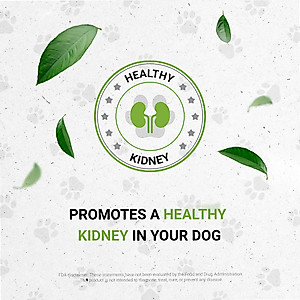 Wolf's Kidney | Natural Herbal Dietary Supplement | Healthy Kidney Function Support in Dogs | Alcohol-Free Extract, Rehmannia, Ginkgo, Echinacea, Marshmallow, Couch Grass, Hawthorn, Uva Ursi 2 oz