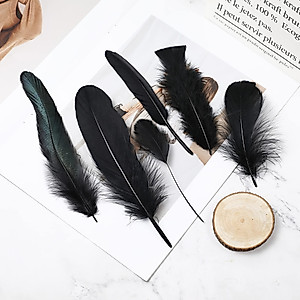 Larryhot Black Craft Feathers Bulk - 240pcs 6 Style Mixed Natural Feathers for Wedding Home Party, Dream Catcher Supplies and DIY Crafts (Black)