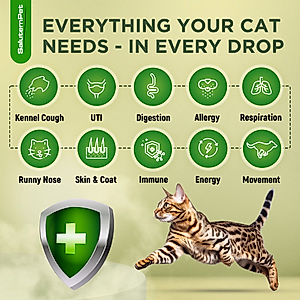 Natural Antibiotics for Cats | Cat Antibiotics | Supports Cat Allergy Relief | Cat Itch Relief | Cat Allergy Support | Cat Multivitamin | Pet Antibiotics | Cat Antibiotics | 2 Oz