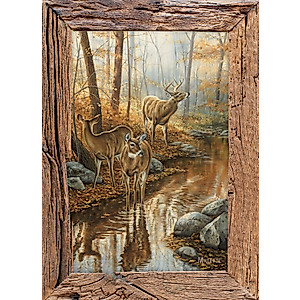 HTL Card-Boxed-Birthday-Whitetail Deer (Box of 12)