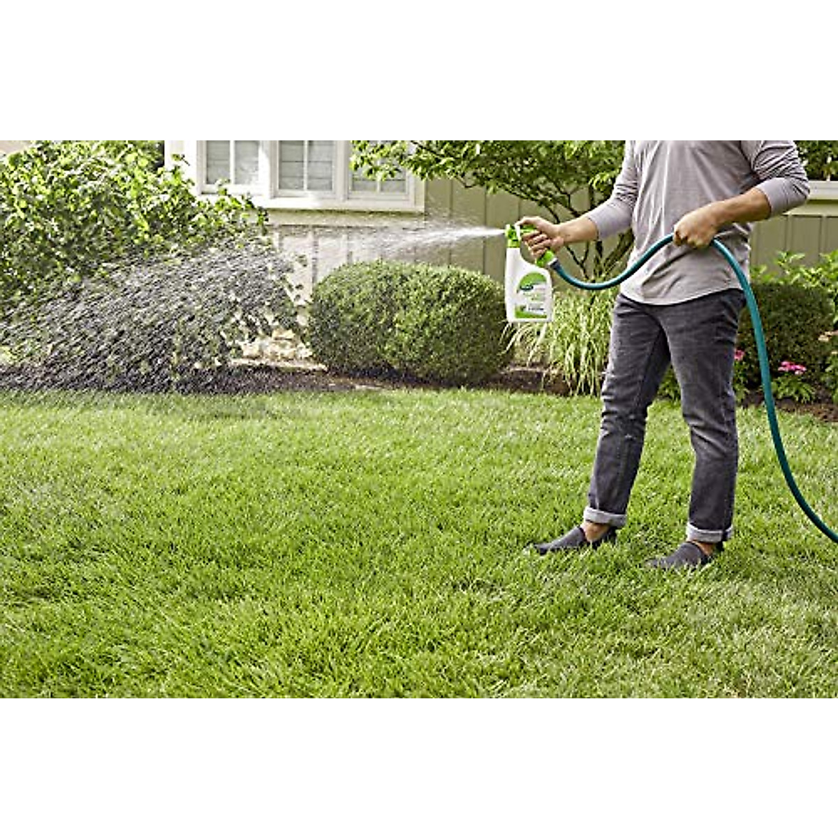 Scotts Turf Builder Starter Food for New Grass Ready-Spray, 32 oz.