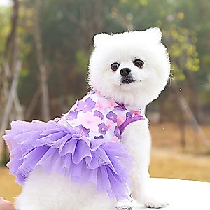 HonpraD Dog Clothes X Small Summer Pet Dress Cotton Cute Spring Supplies Dog Dress Pet Cotton CostumesSpring Pet Clothes for Small Dogs Chihuahua