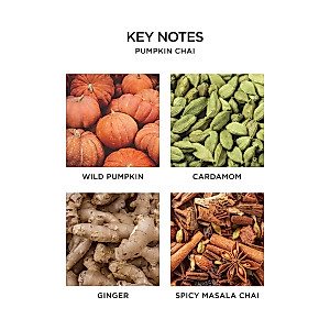 NEST Fragrances Pumpkin Chai Scented Classic Candle, 8 Ounce