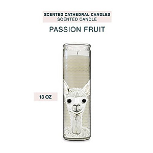 Scented Cathedral Candle by Studio Oh! - 13-Ounce Soy-Blend Wax Pillar Candle in Decorative Glass Container - Passion Fruit - Burns up to 115 Hours