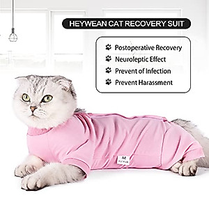 HEYWEAN Cat Professional Surgical Recovery Suit for Abdominal Wounds Skin Diseases, After Surgery Wear, E-Collar Alternative for Cats, Home Indoor Pets Clothing (Pink, M)