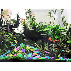 350 PCS Luminous Stones – Mixed Color Glow Rocks Decorations DIY Decorative Pebbles for Aquarium Fish Tank Sidewalk Garden Path Patio Terrace Lawn Yard Ornaments Colorful Cobbles Decor FD05MX350