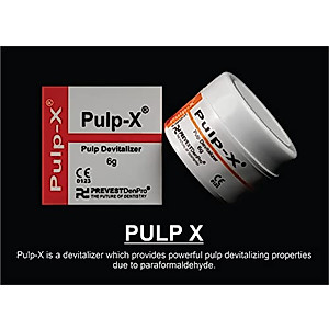 Prevest Denpro Pulp X 6g, Dental Products