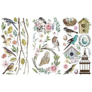 GLOBLELAND 3 Sheets Spring Bird Transfer Stickers Birdcage Rub on Decor Transfers Sticker Decals for Cabinet Wood Door DIY Craft
